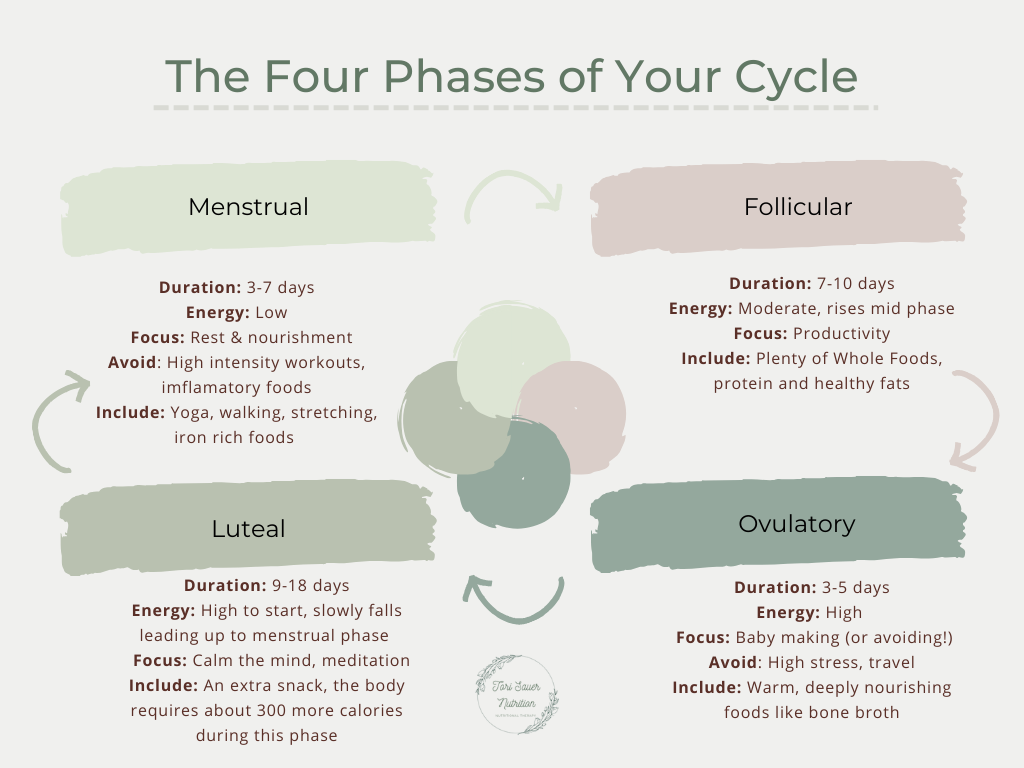 The Four Phases Of The Menstrual Cycle - Tori Sauer Nutrition